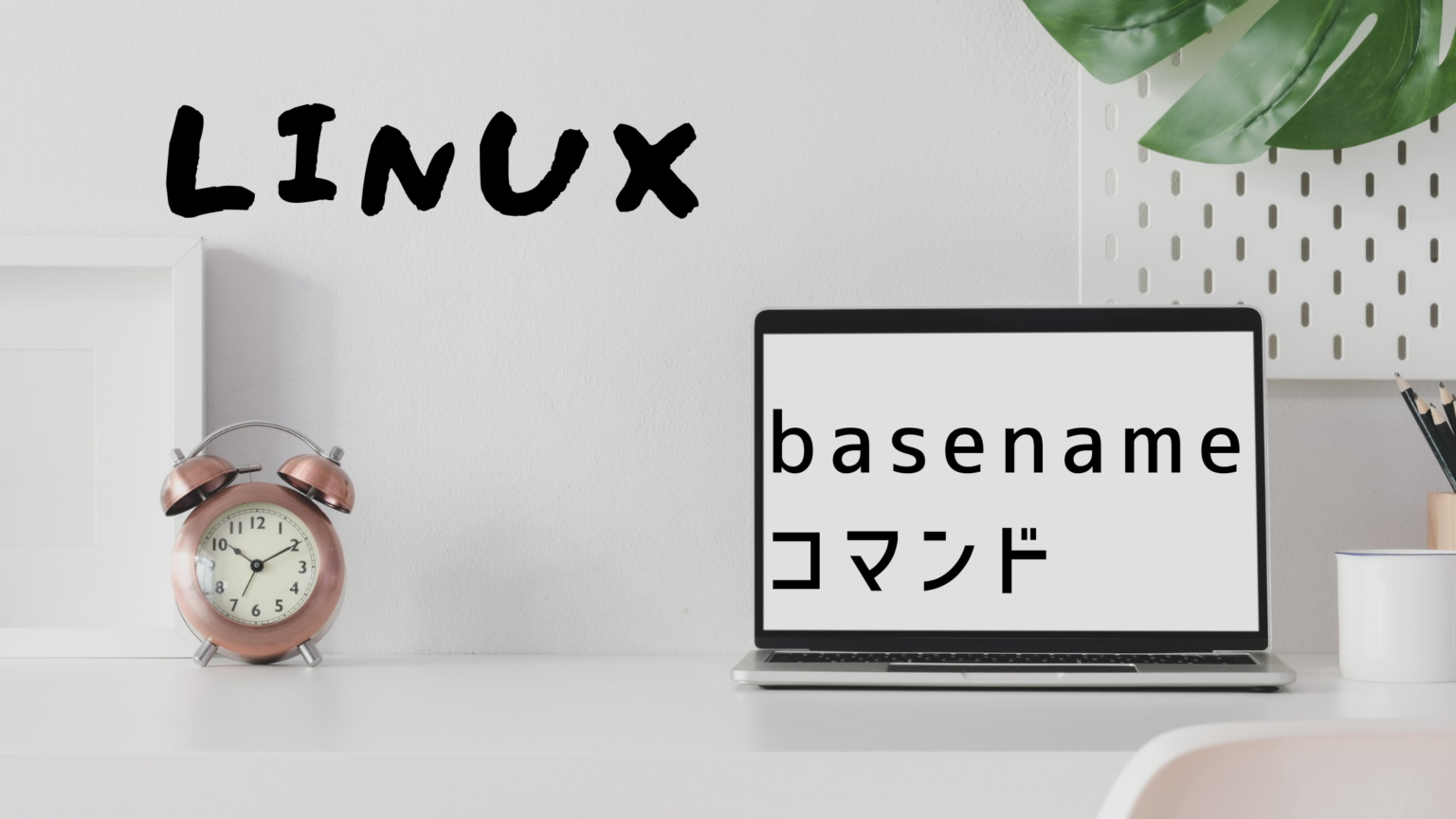 【Linux】basenameコマンド完全ガイド 最後の「/」以降の文字列を表示