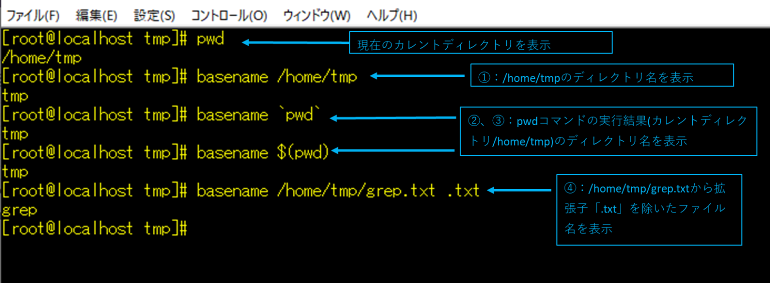 【Linux】basenameコマンド完全ガイド 最後の「/」以降の文字列を表示